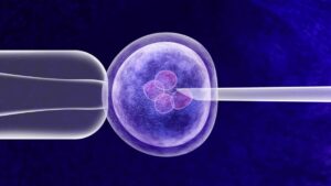 ICSI vs IVF: Key Differences, Procedure, Success Rate & When ICSI Is ...