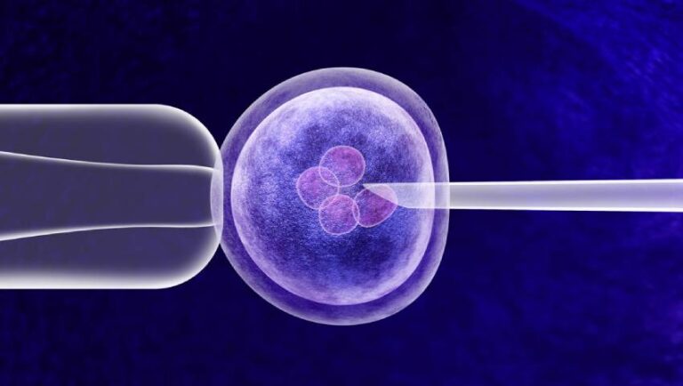 ICSI vs IVF: Key Differences, Procedure, Success Rate & When ICSI Is ...